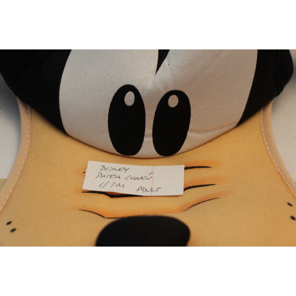 Modelo De Chapeu Pateta Da Disney