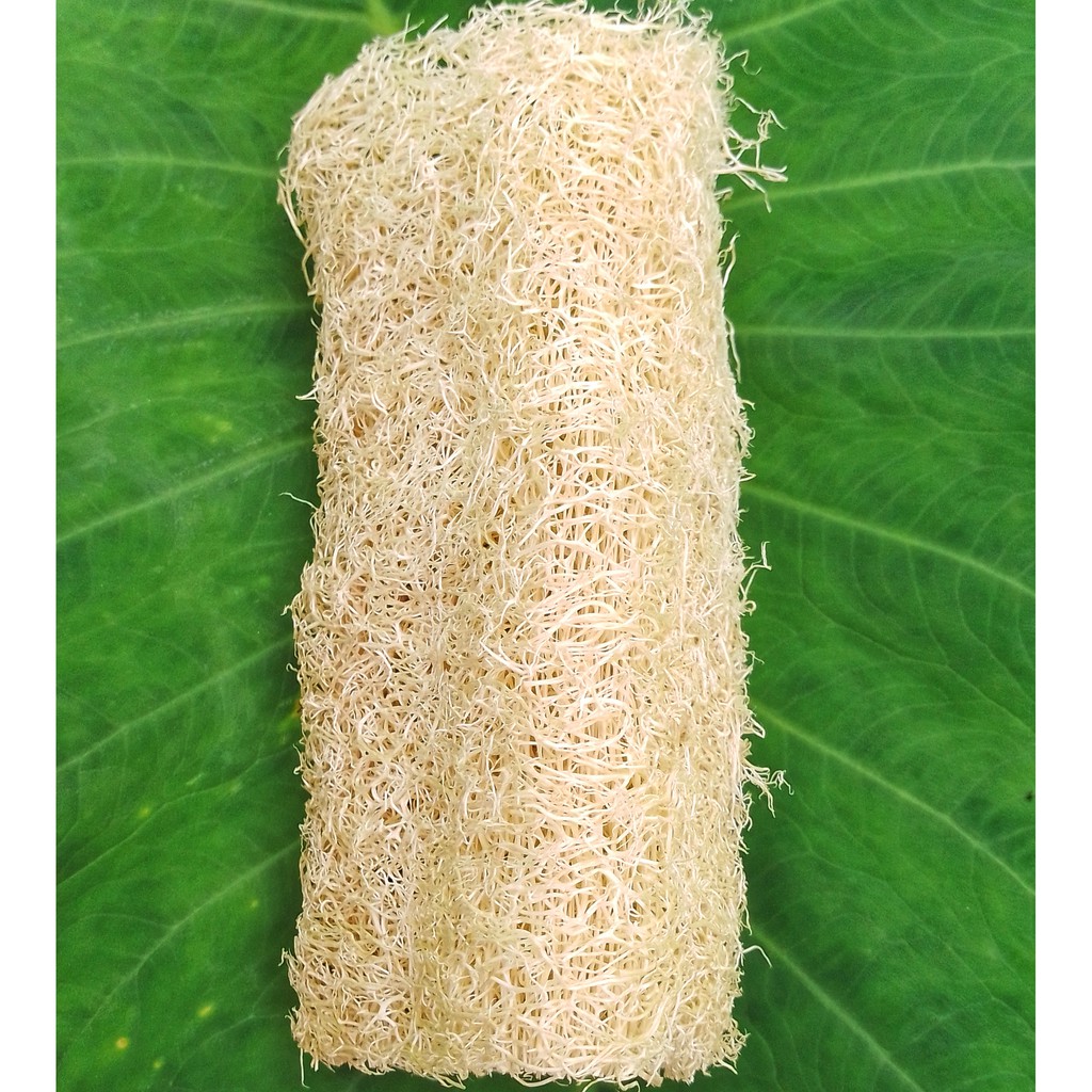 Bucha Vegetal Natural | Shopee Brasil