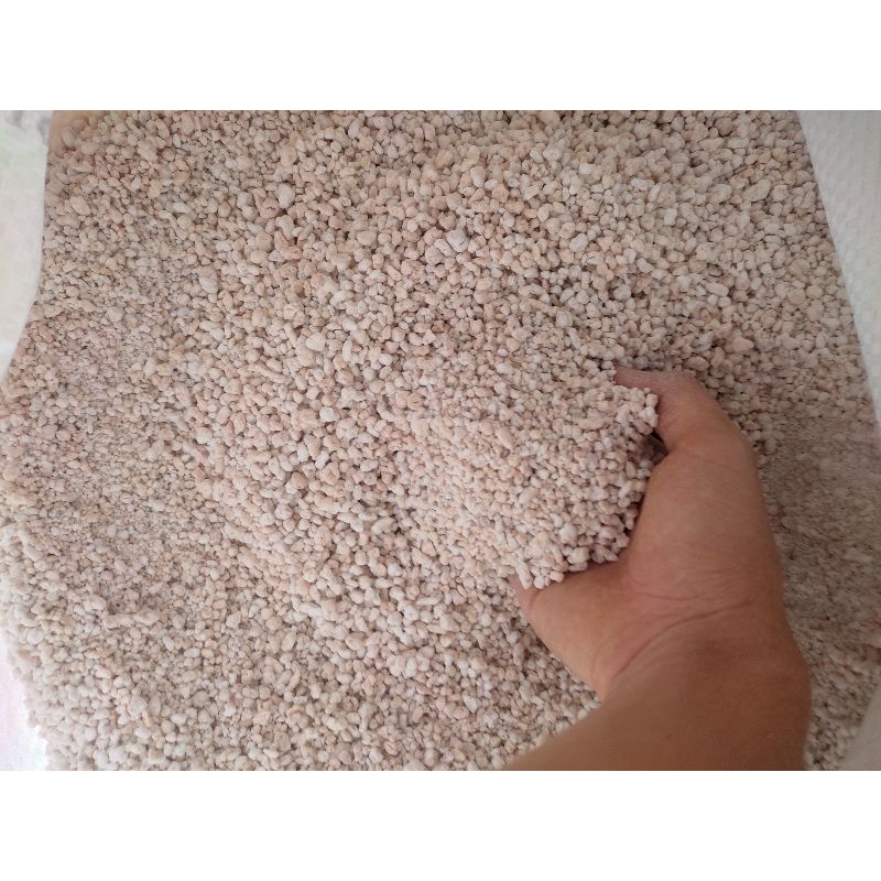 Perlita Expandida 2 Litros Substrato Inerte Orgânico Grow | Shopee Brasil