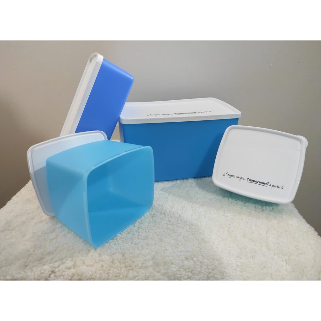 Potes Tupperware Linha Freezer - Caixa Ideal | Shopee Brasil