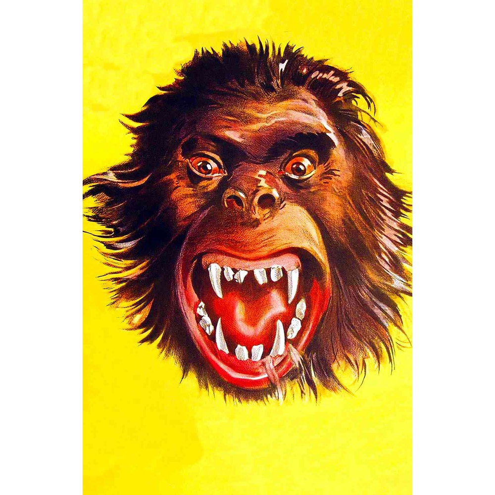Quadro de Congorilla (1932) | Shopee Brasil