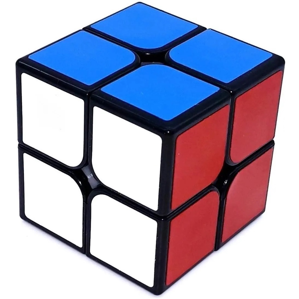 Cubo Mágico Profissional 2x2x2 Adesivado Rápido Leve Giro | Shopee Brasil