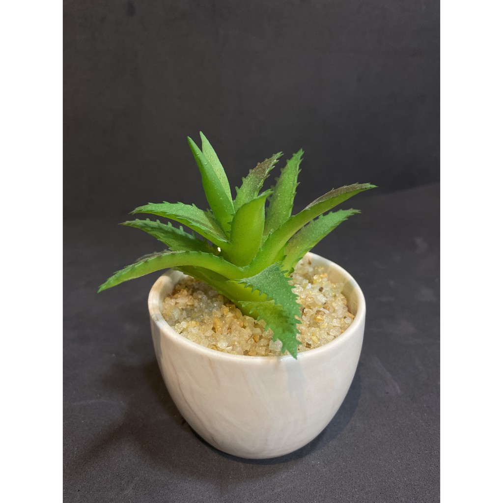 Vaso de Ceramica com Plantas Mini Suculentas e Mini Cactus Artificiais ...