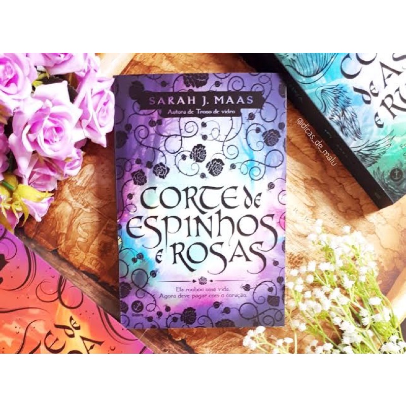 Livro Corte de espinhos e rosas - vol. 1 | Shopee Brasil