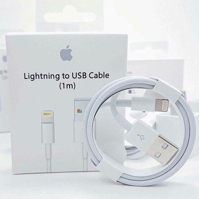 Cabo iPhone Apple Lightning USB Tipo C - 1 Metro | Shopee Brasil