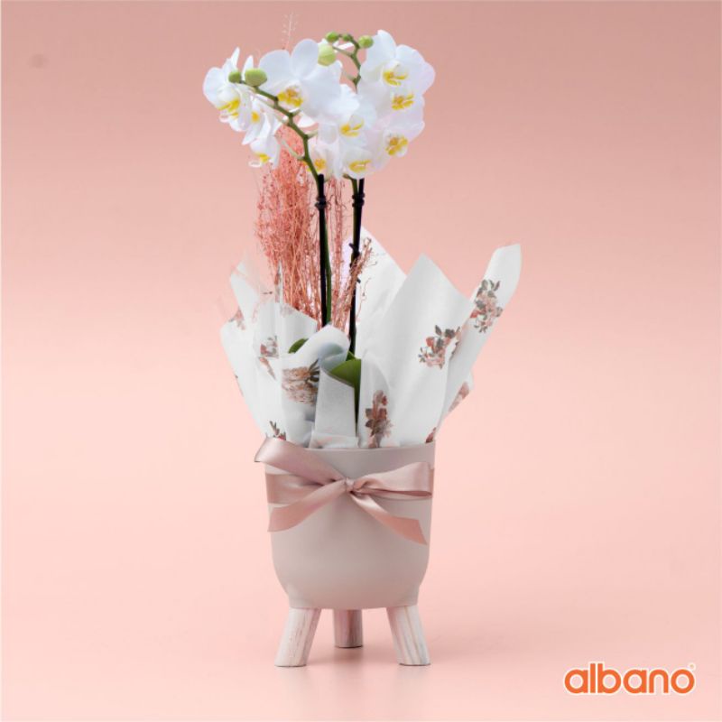 Cachepot de Acrílico Brulet c/ pés de madeira Albano | Shopee Brasil