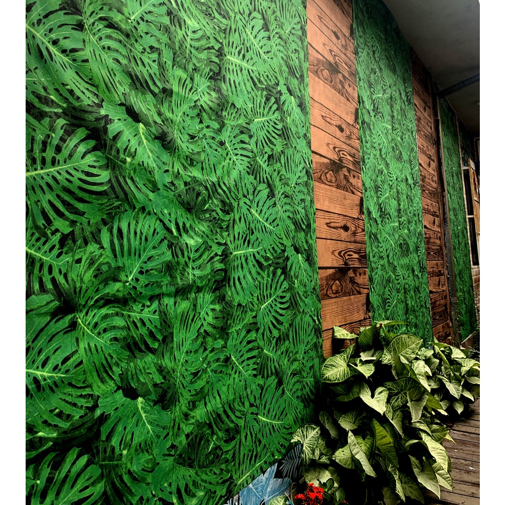 TNT Estampado Folha Costela de Adão 1.00m a 6,00m | Shopee Brasil