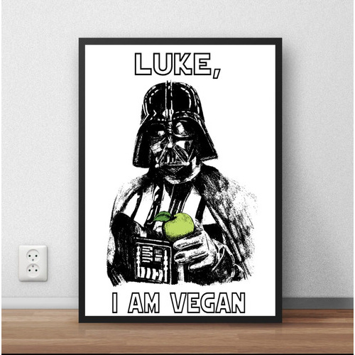 Quadro / Poster Com Moldura Darth Vader Vegan A4 | Shopee Brasil
