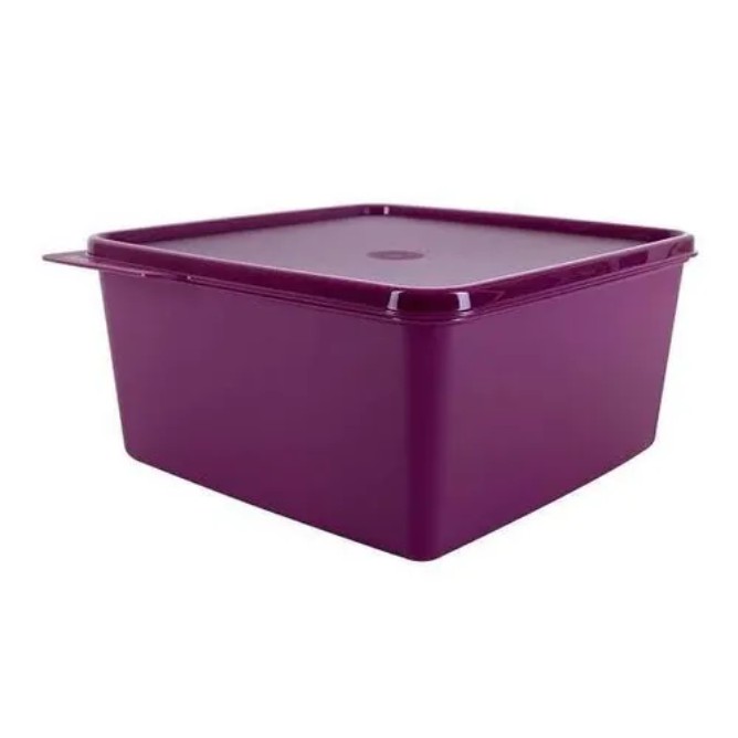 Tupperware Basic Line 2,5L Roxo - Vasilha com tampa para armazenar ...