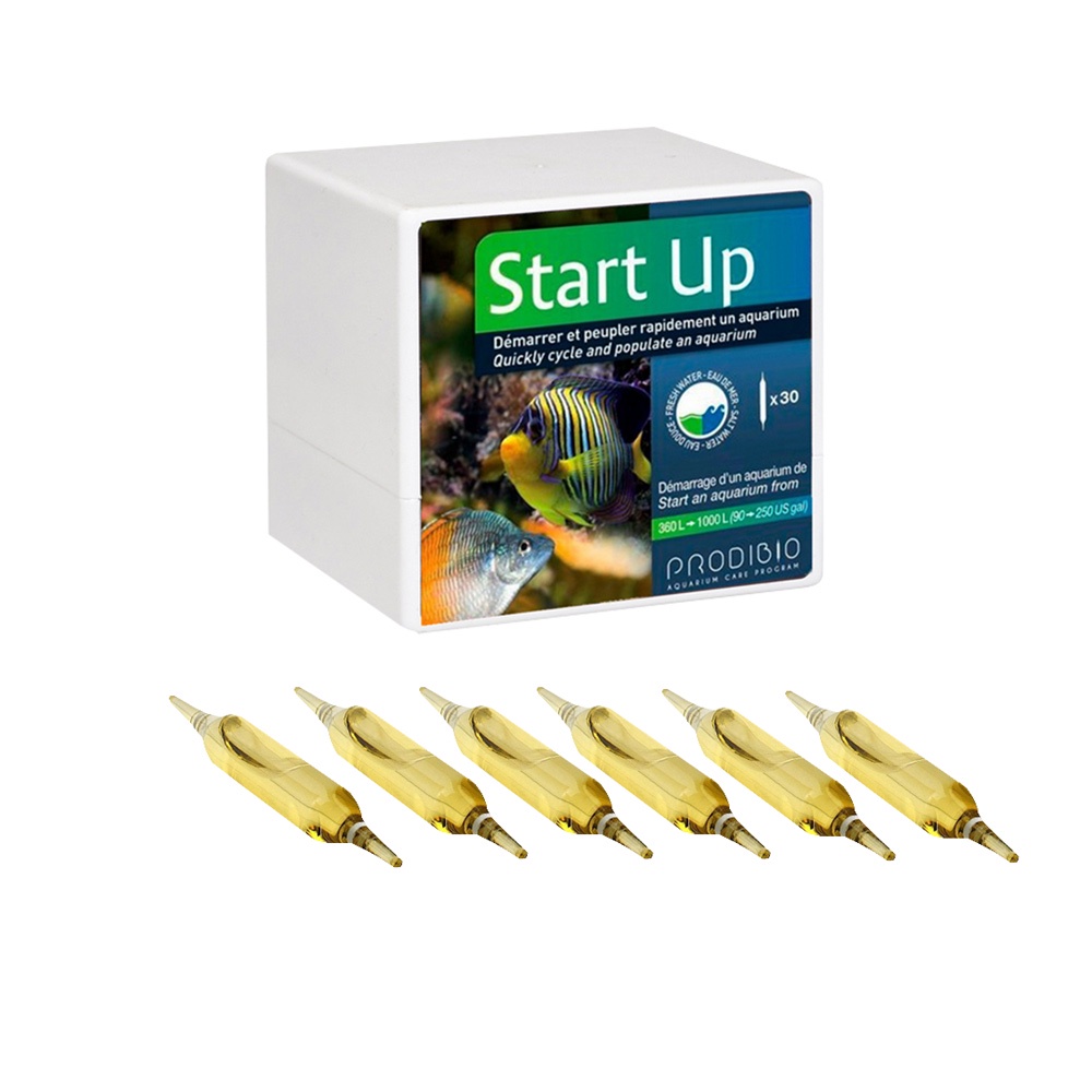 Prodibio Start Up 6 Ampolas Acelera A Ciclagem E Biologia | Shopee Brasil