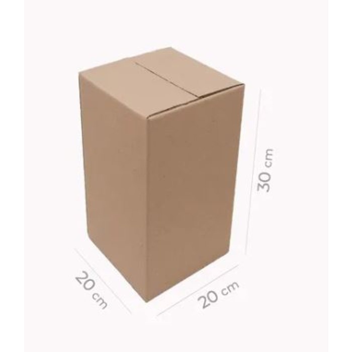CAIXA DE PAPELÃO 20x20x30 KIT COM 100 UN-C1 | Shopee Brasil