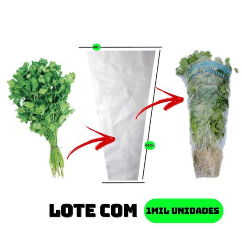 Embalagem para coentro hidroponica cônica 1.000 unidades | Shopee Brasil
