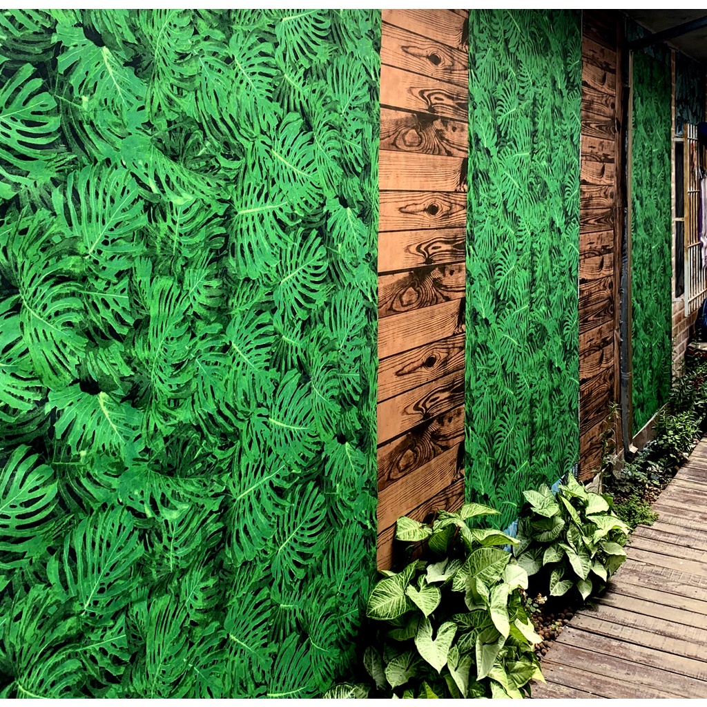 TNT Estampado Folha Costela de Adão 1.00m a 6,00m | Shopee Brasil