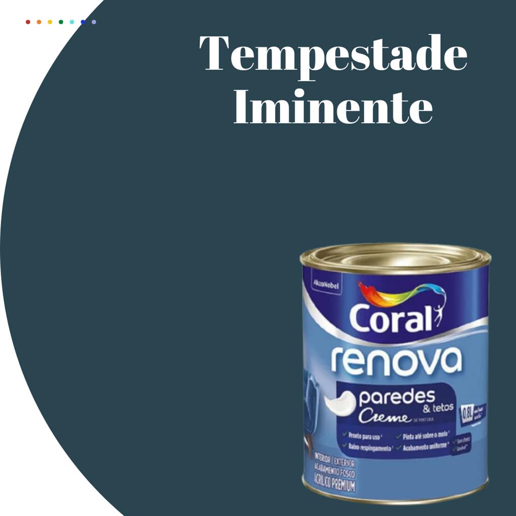 Tinta Parede Tempestade Iminente Acrílica Fosca Renova 800ml | Shopee ...