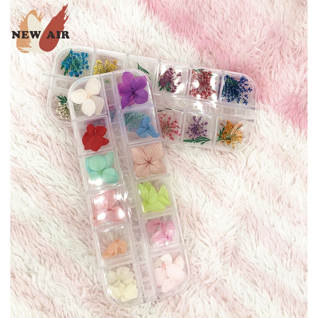 Kit 12 Flores Secas Encapsulamento Unhas Decoração Shopee Brasil