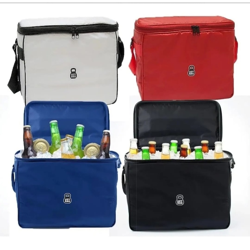 Bolsa Térmica para Bebidas: Cerveja, Refri 6 litros Pequena | Shopee Brasil