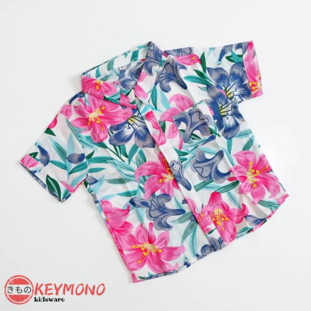 Camisa keymono Havaiana | Shopee Brasil