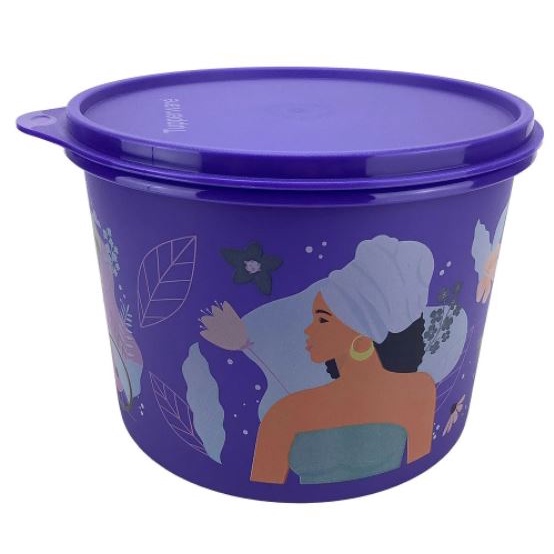 Tupperware Caixa Mulheres 2,4 Litros Roxo | Shopee Brasil