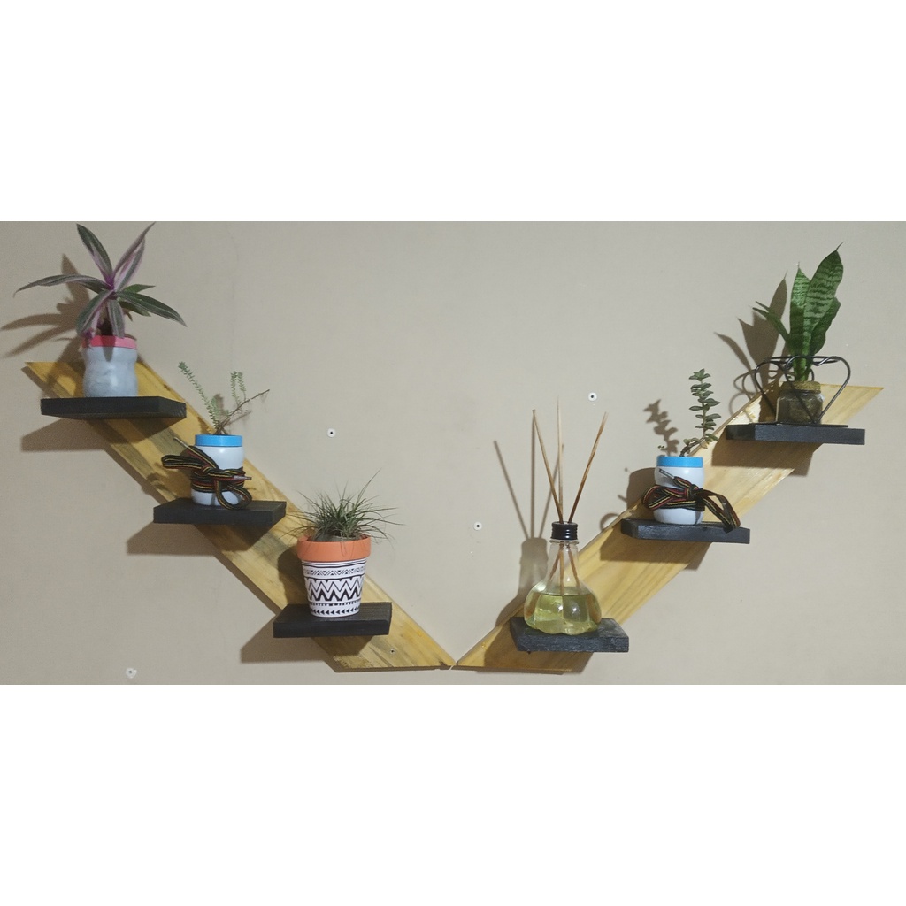 kit porta caqueiro, nicho de parede, prateleira para suculentas ...