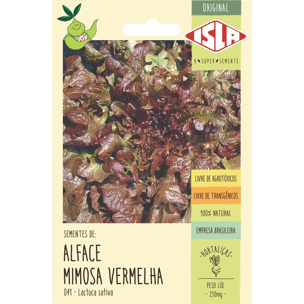 Sementes de Alface Crespa, Lisa, Mimosa, Quatro Estações - Semente Isla ...