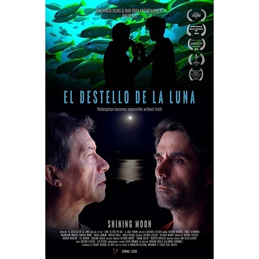 Dvd O Brilho Da Lua (el Destello De La Luna ) Gay REF:04IE | Shopee Brasil