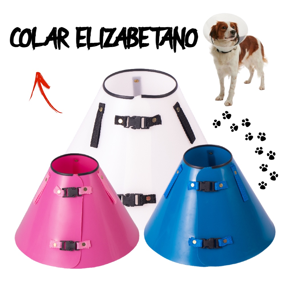 Colar Elizabetano Tradicional Colorido para Cachorro e Gato Tamanho 01 ...