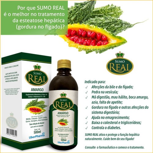 Sumo Real Amargo 500Ml Fígado Saudável | Shopee Brasil