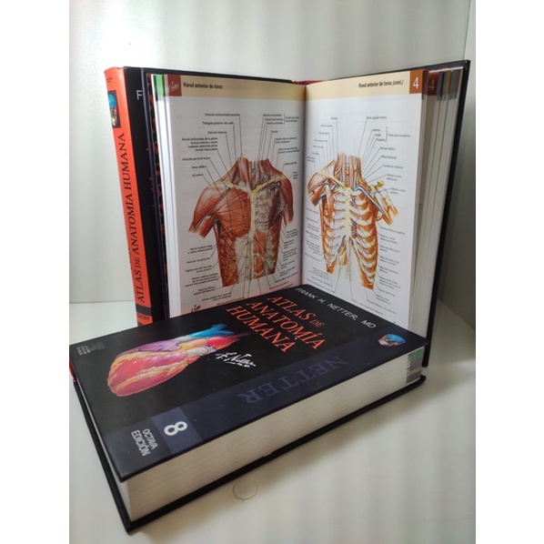 Atlas Anatomia Netter | Shopee Brasil