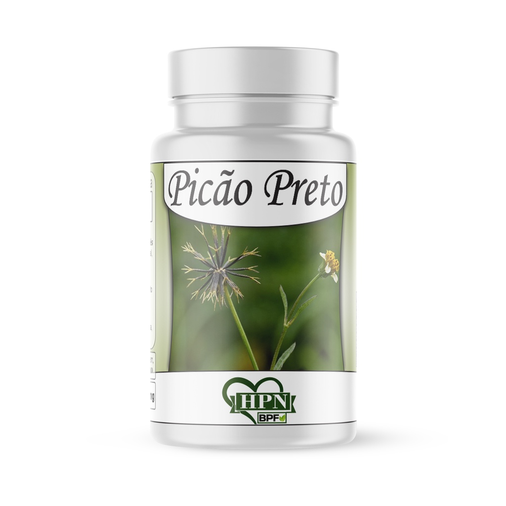 Picão Preto Original (Pico-Pico) Hipertensão Planta Medicinal Pura ...