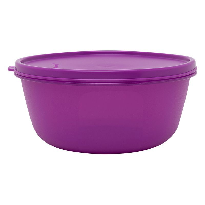 Vasilha Tupperware (Tigela Visual 1,5L) | Shopee Brasil