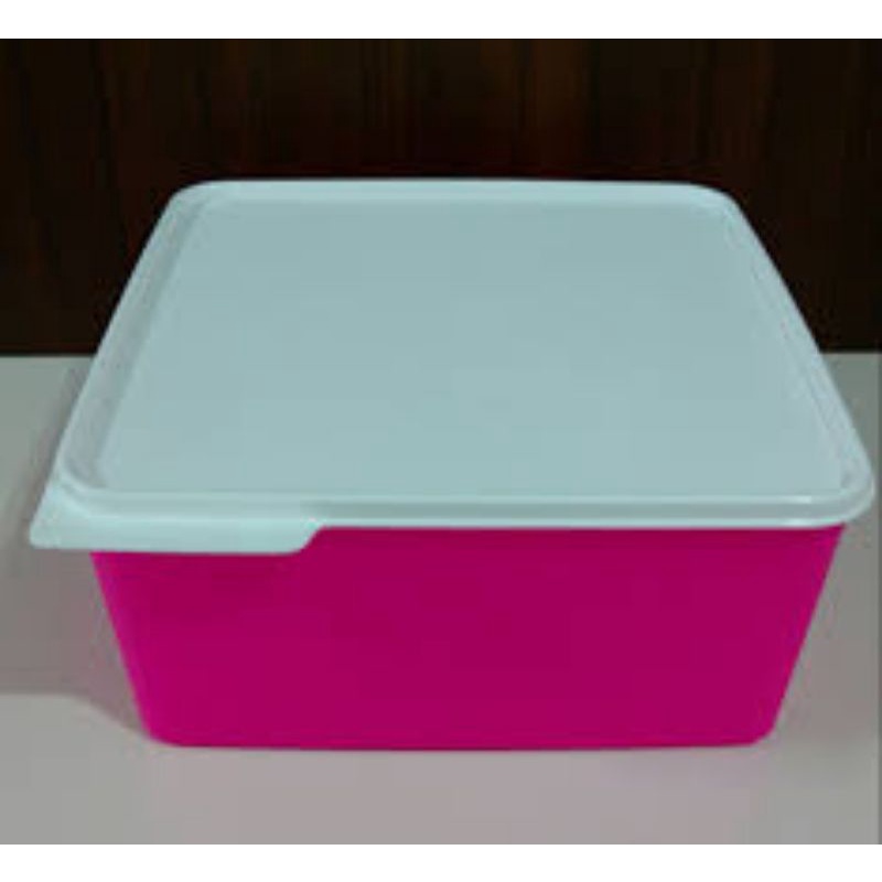 Basic LINE 5 L tupperware | Shopee Brasil
