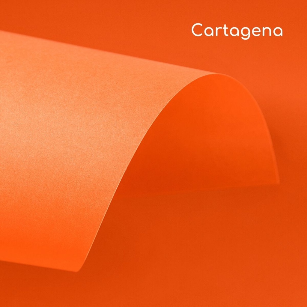 Papel Color Plus 180g (9 Fls A4) Original Blendpaper Colorido na Massa ...