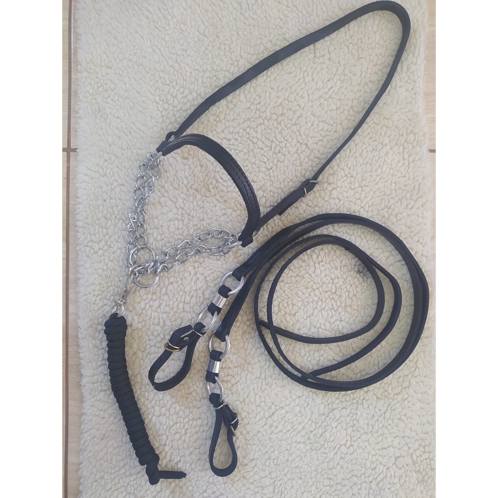 Cabresto De Corrente Aço Inox + Rédea Para Cavalo Promoção ! | Shopee ...