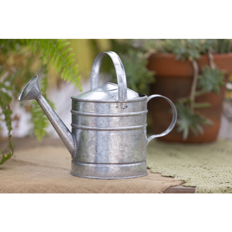 Regador de metal para plantas em galvanizado rústico ideal para ...
