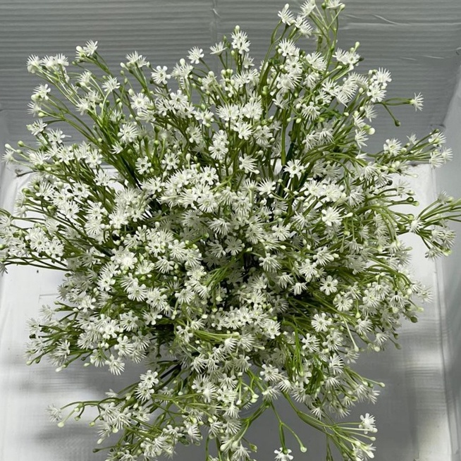 Mosquitinho artificial | Shopee Brasil