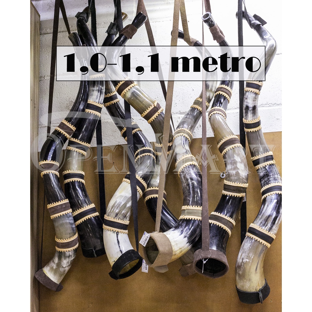 Berrante Chifre De Boi Natural Alça De Couro Original Varios Tamanhos ...