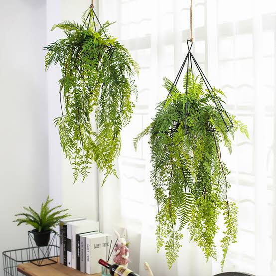 Planta Samambaia Pendurada Verde Parede Artificial Parede Varanda p ...