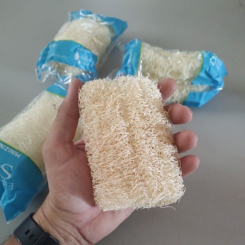 Kit 10 Bucha Vegetal Banho Tamanho Pequeno Esponja Natural | Shopee Brasil
