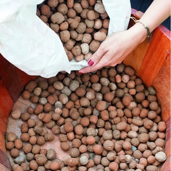 10 Litro - Argila Expandida para jardins, drenagem e vasos | Shopee Brasil