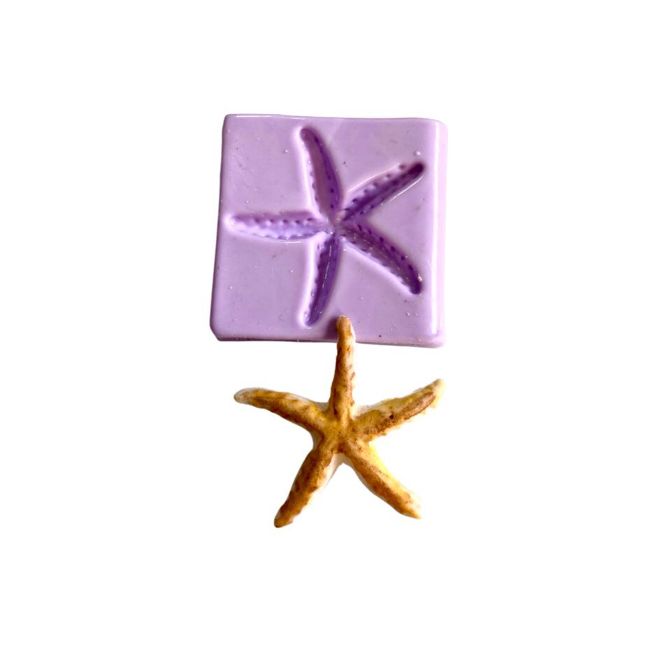F1026 Molde De Silicone Estrela Do Mar Para Decorar | Shopee Brasil