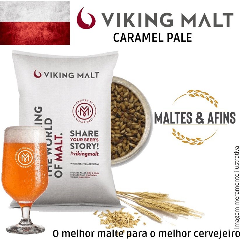 Malte Viking Caramel Pale - 250g | Shopee Brasil