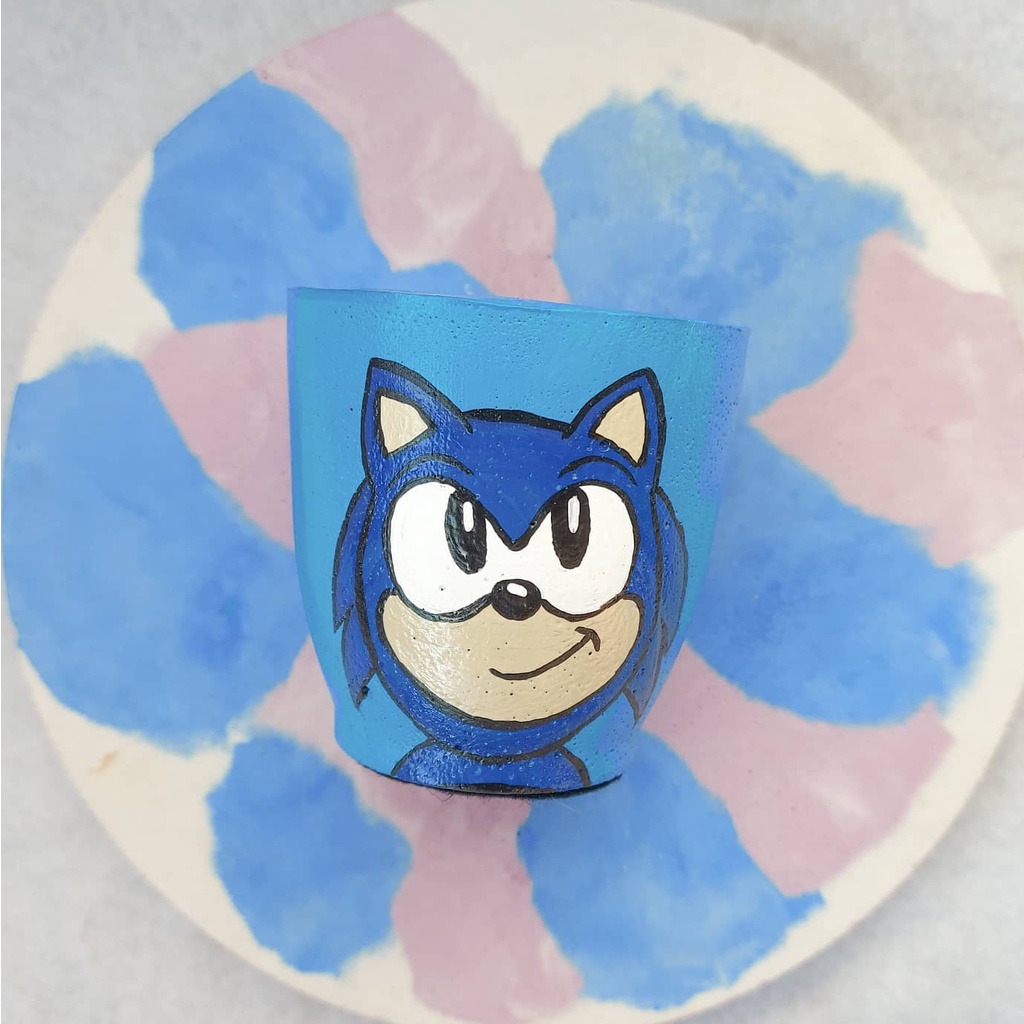 Vaso de plantas suculenta - Sonic | Shopee Brasil