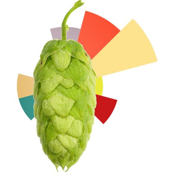 Lúpulo Amarillo (LNF) - 50g | Shopee Brasil