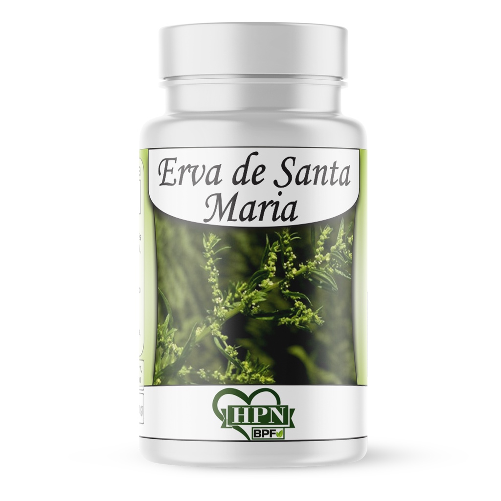 Erva de Santa Maria (Mastruz) Planta Medicinal 500mg Chá Mexicano ...