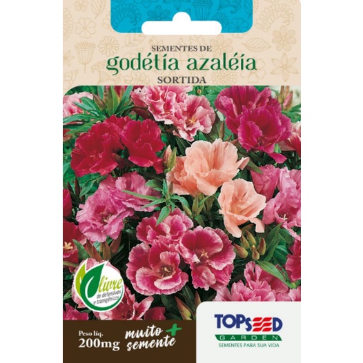 Semente De Flor Godetia | Shopee Brasil