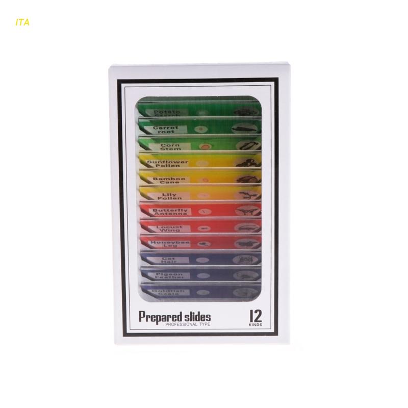 ITA 12 Pcs Prepared Microscope Slides Set Specimen For Student Basic ...