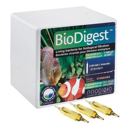 Prodibio Biodigest kit 3 ampolas - Acelerador Biologico | Shopee Brasil
