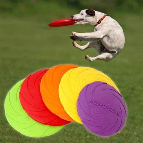 Disco Canino Frisbee Dog - Frisbee Para Cães | Shopee Brasil