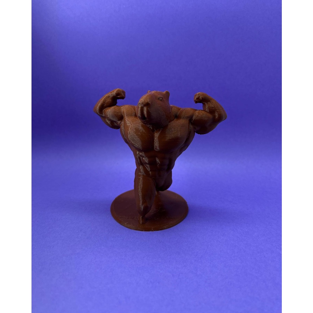 Capivara Musculosa / Body Builder / Malhada - 3D | Shopee Brasil