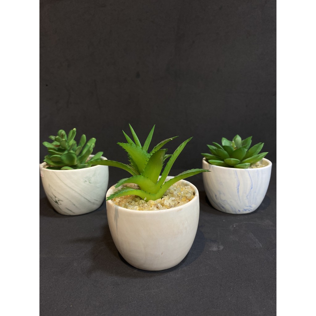 Vaso de Ceramica com Plantas Mini Suculentas e Mini Cactus Artificiais ...
